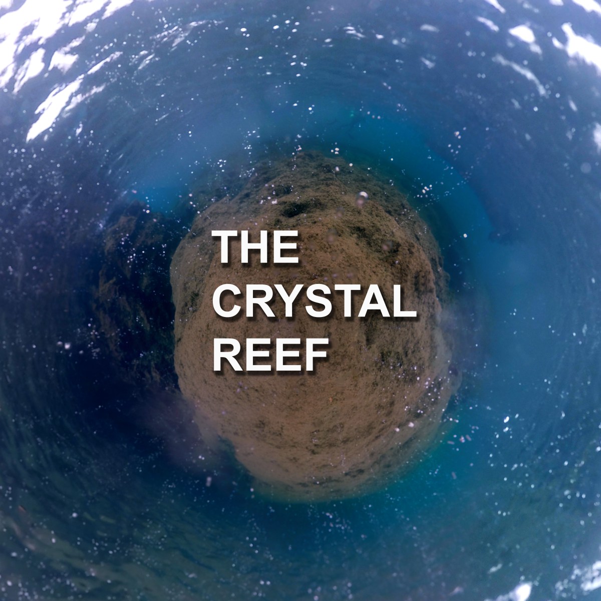 The Crystal Reef – Lauren Knapp